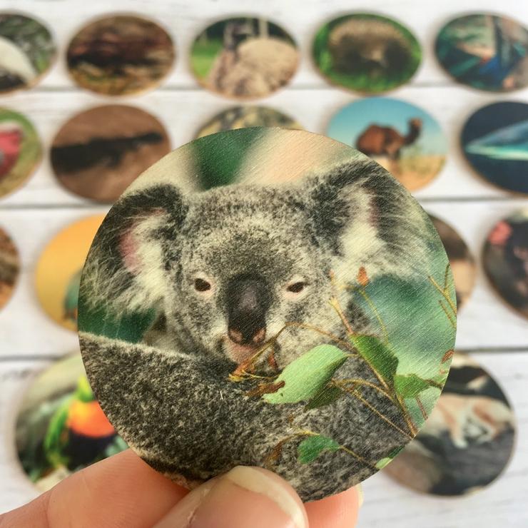 Story Tellers - Animals of Australia – Rejoice Toys