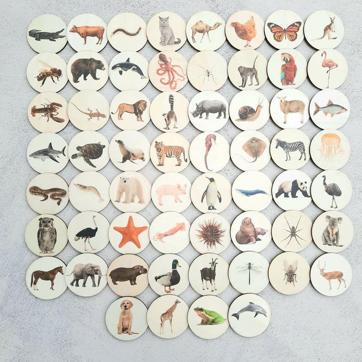 Animals Sorting Board – Rejoice Toys